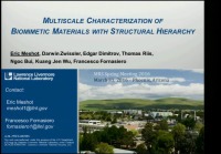 Multiscale Characterization of Biomimetic Materials with Structural ...