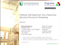 Particles Self-Alignment into a Nacre-like Structure during Ice ...