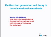 Multiexciton Generation and Decay in Two-Dimensional Nanosheets ...