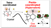Structural characterization of hypervalent carbon compounds in the gas ...