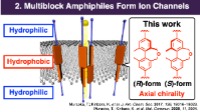 Development of chiral multiblock amphiphiles and their functions within ...