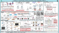 Preparation of amphiphilic double-chain polymer and its aggregation ...