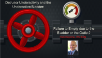 Detrusor Underactivity and the Underactive Bladder: Failure to Empty ...
