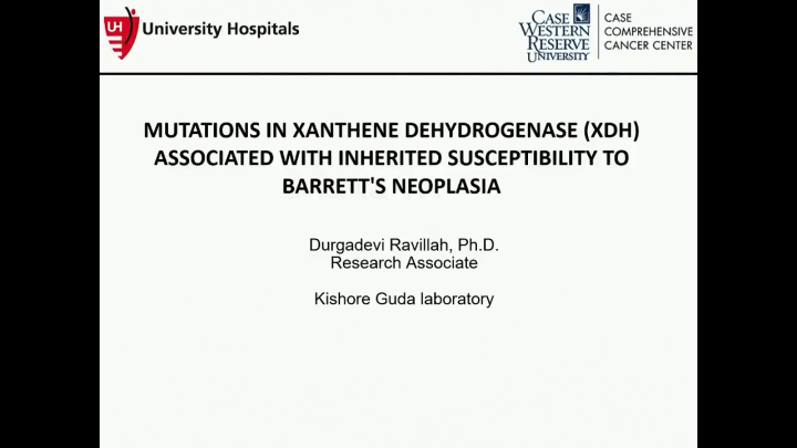 AGA Fundamental Mechanisms in the Pathogenesis of Barrett's Esophagus ...