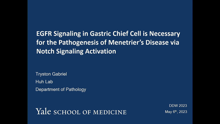 AGA Gastric Epithelial Cell Homeostasis and Dysplasia - Digestive ...