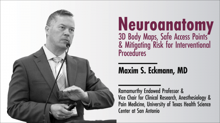 Neuroanatomy: 3D Body Maps, Safe Access Points & Mitigating Risk for Interventional Procedures ...