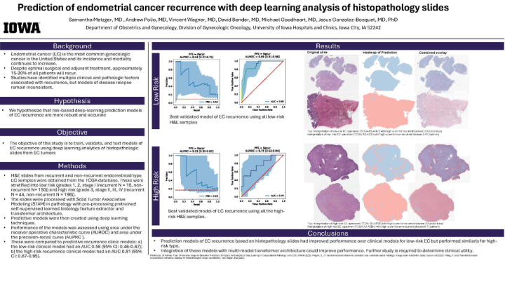 Prediction of endometrial cancer recurrence with deep learning analysis ...