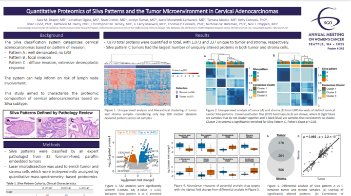 Quantitative Proteomic Analyses of the Tumor Microenvironment in ...