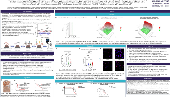 COPS5 depletion via CSN5i-3 downregulates DNA damage repair to ...