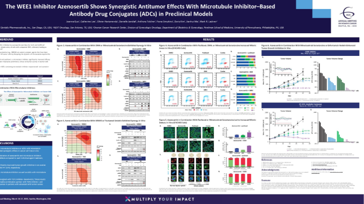 The WEE1 Inhibitor Azenosertib Shows Synergistic Anti-Tumor Effects ...