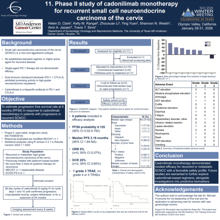 Phase II study of cadonilimab monotherapy for recurrent small cell ...