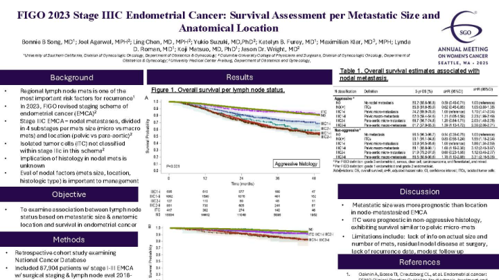 FIGO 2023 stage IIIC endometrial cancer: survival assessment per ...