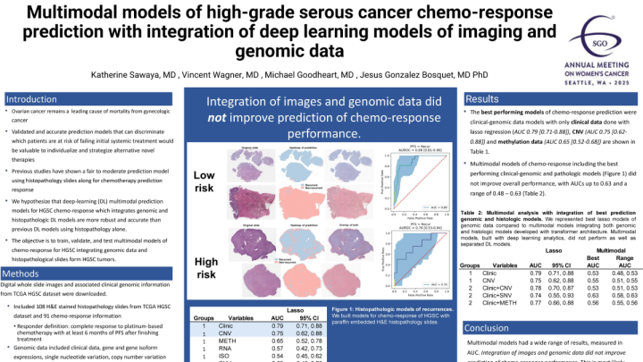 Multimodal models of HGSC chemo-response prediction with integration of ...