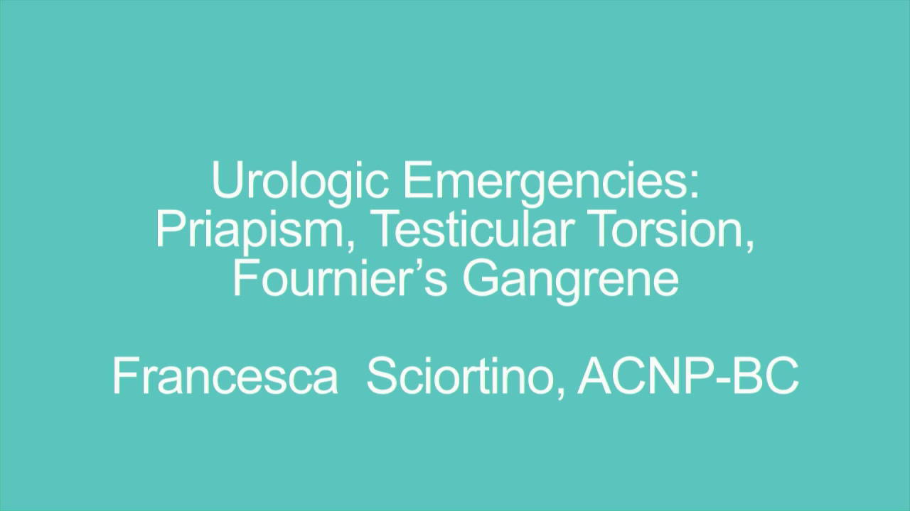 Urologic Emergencies: Priapism, Testicular Torsion, Fournier’s Gangrene ...