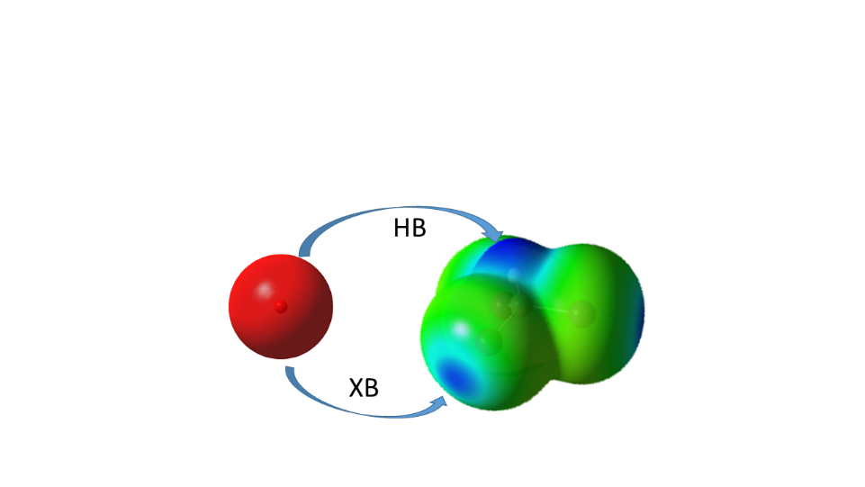 Intermolecular interactions of electrophilic halomethanes with halide ...