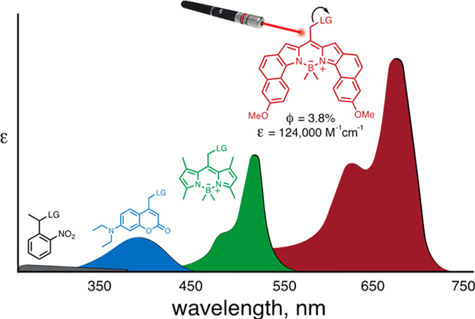 Development of an efficient BODIPY based photocages absorbing at far ...