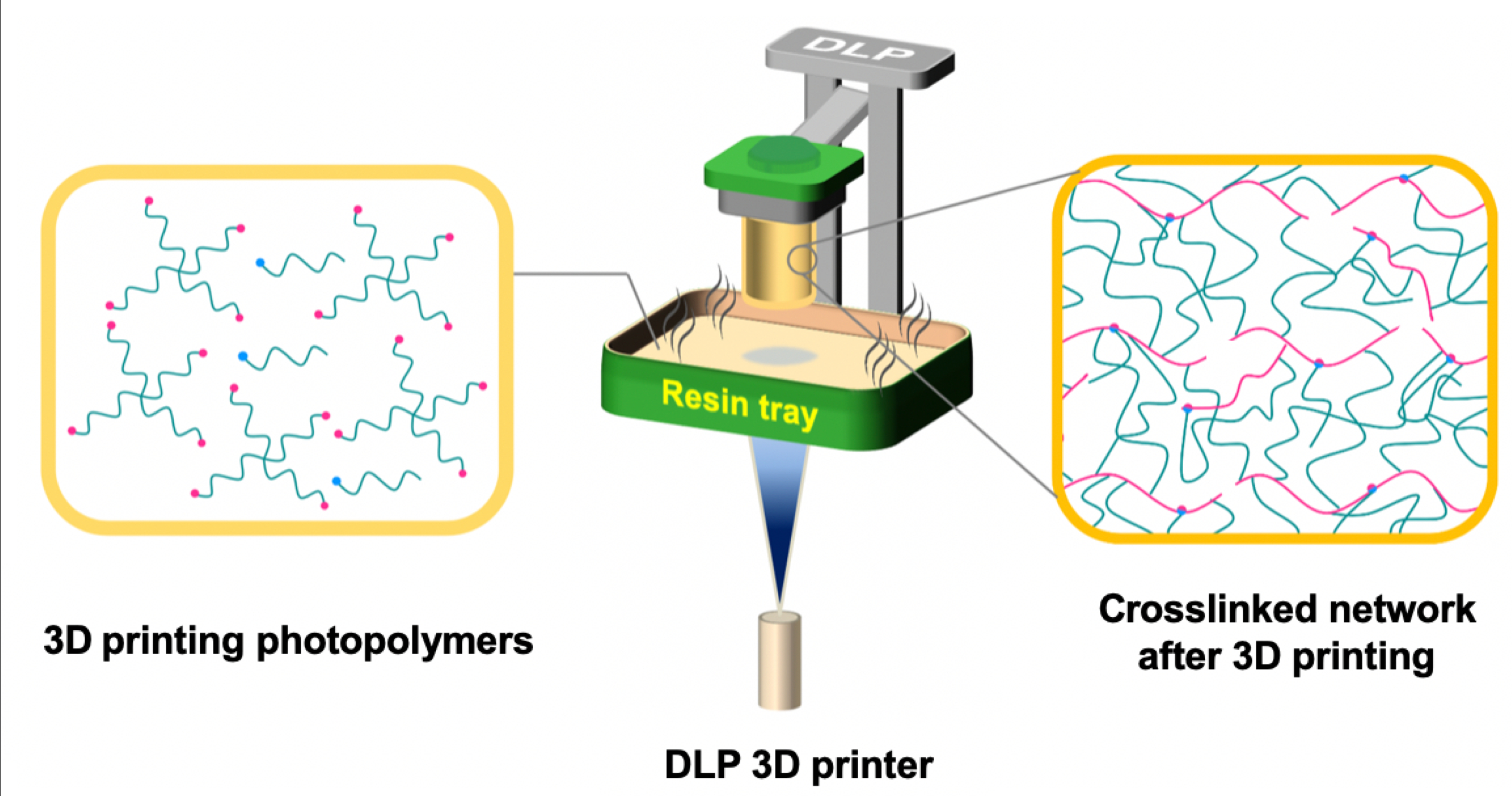 Digital light 3D printing of biodegradable photopolymers with tunable ...