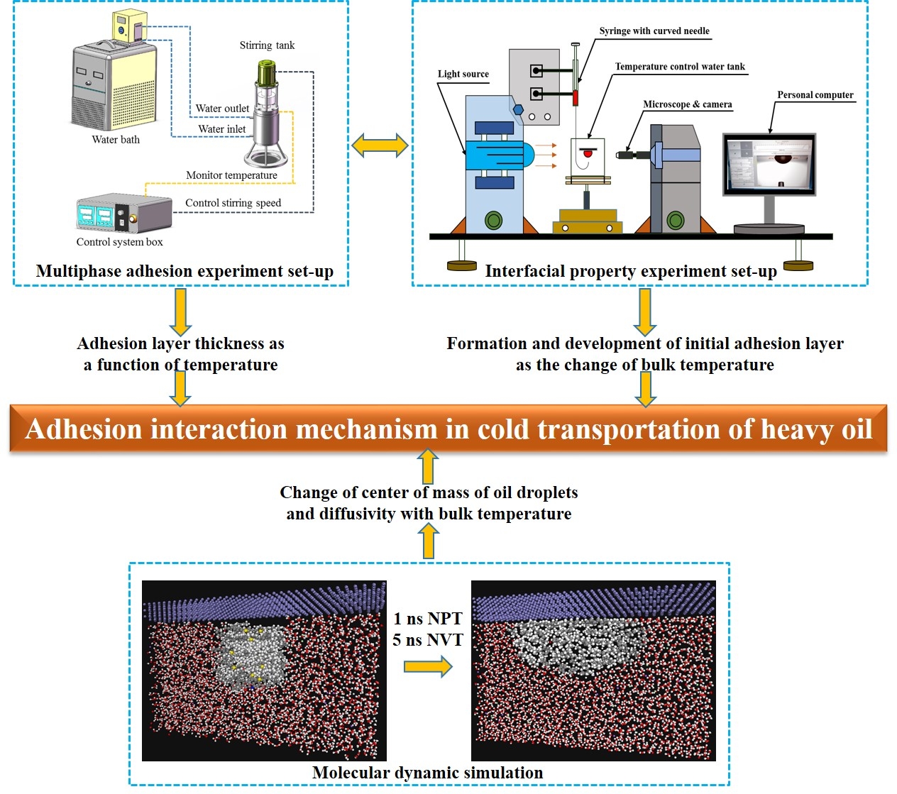 Experimental and simulation investigation of heavy oil adhesion in cold ...