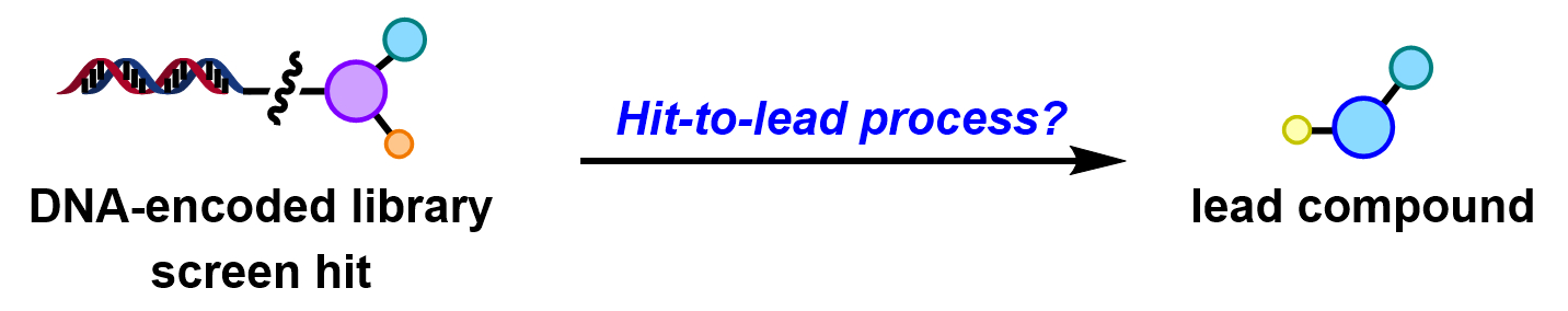 Trends in hit-to-lead optimization following DNA-encoded library ...