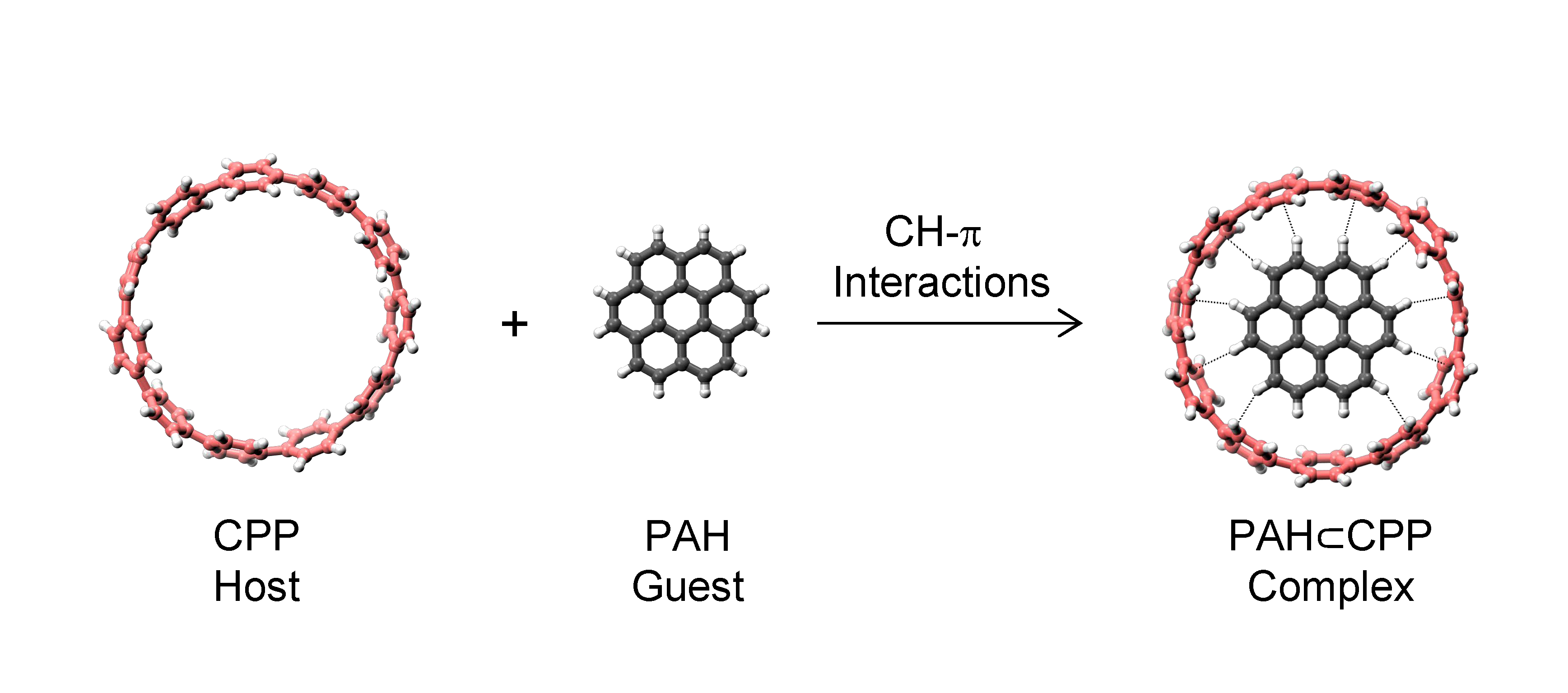 Semiconducting Host Guest Complexes Based On Cycloparaphenylenes And Polycyclic Aromatic