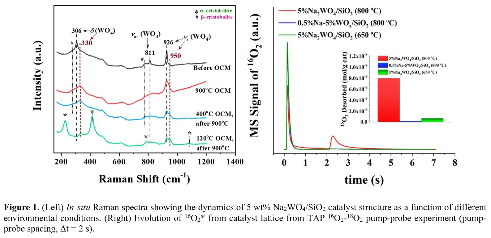 OCM reaction pathways over supported Na2WO4/SiO2 catalysts - American ...