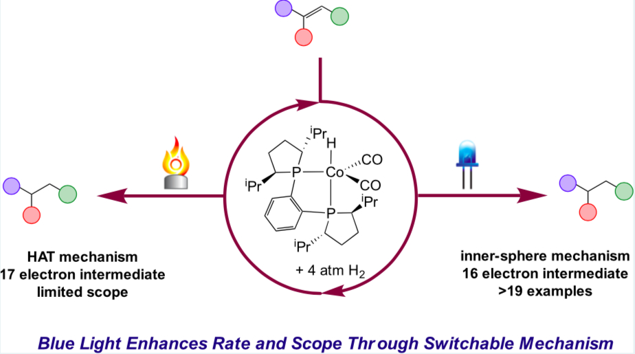 Visible-light-enhanced cobalt-catalyzed hydrogenation: Switchable ...