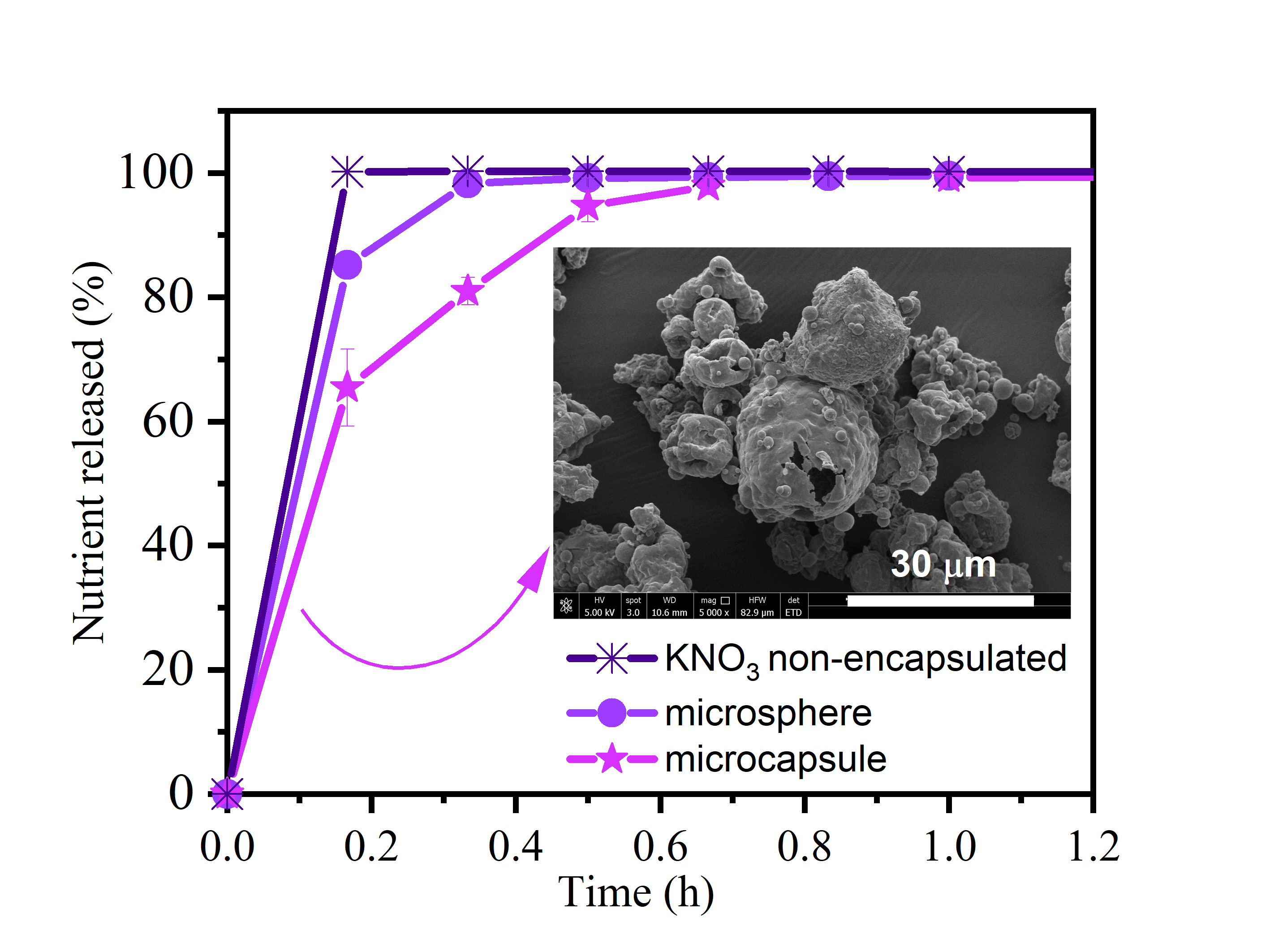 Cellulose nanofibers applied to agriculture as an enhanced efficient ...