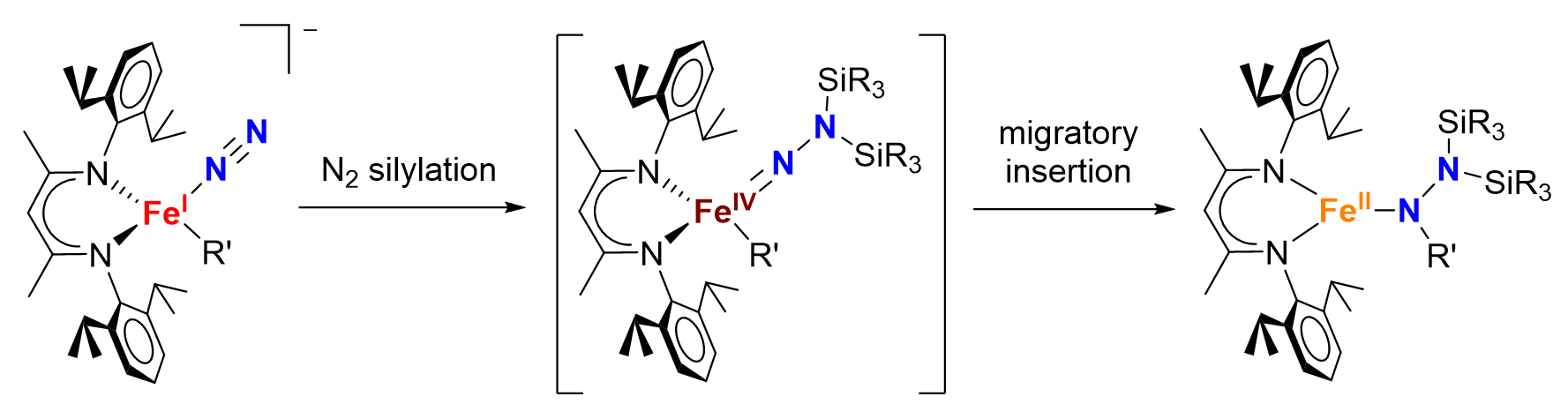 Migratory insertion of hydrocarbyl groups to dinitrogen via a high ...