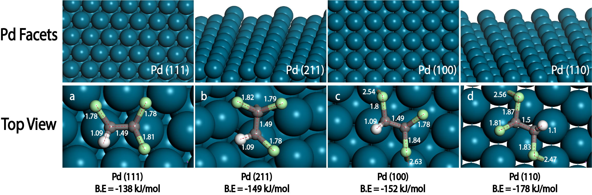 Understanding hydrodechlorination of trichloroethylene on different facets of a Pd catalyst ...