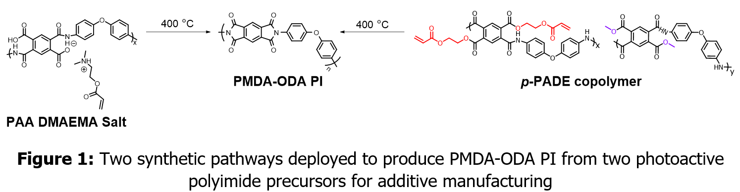 Photoactive poly(amic acid) precursors as scaffolds for additive ...