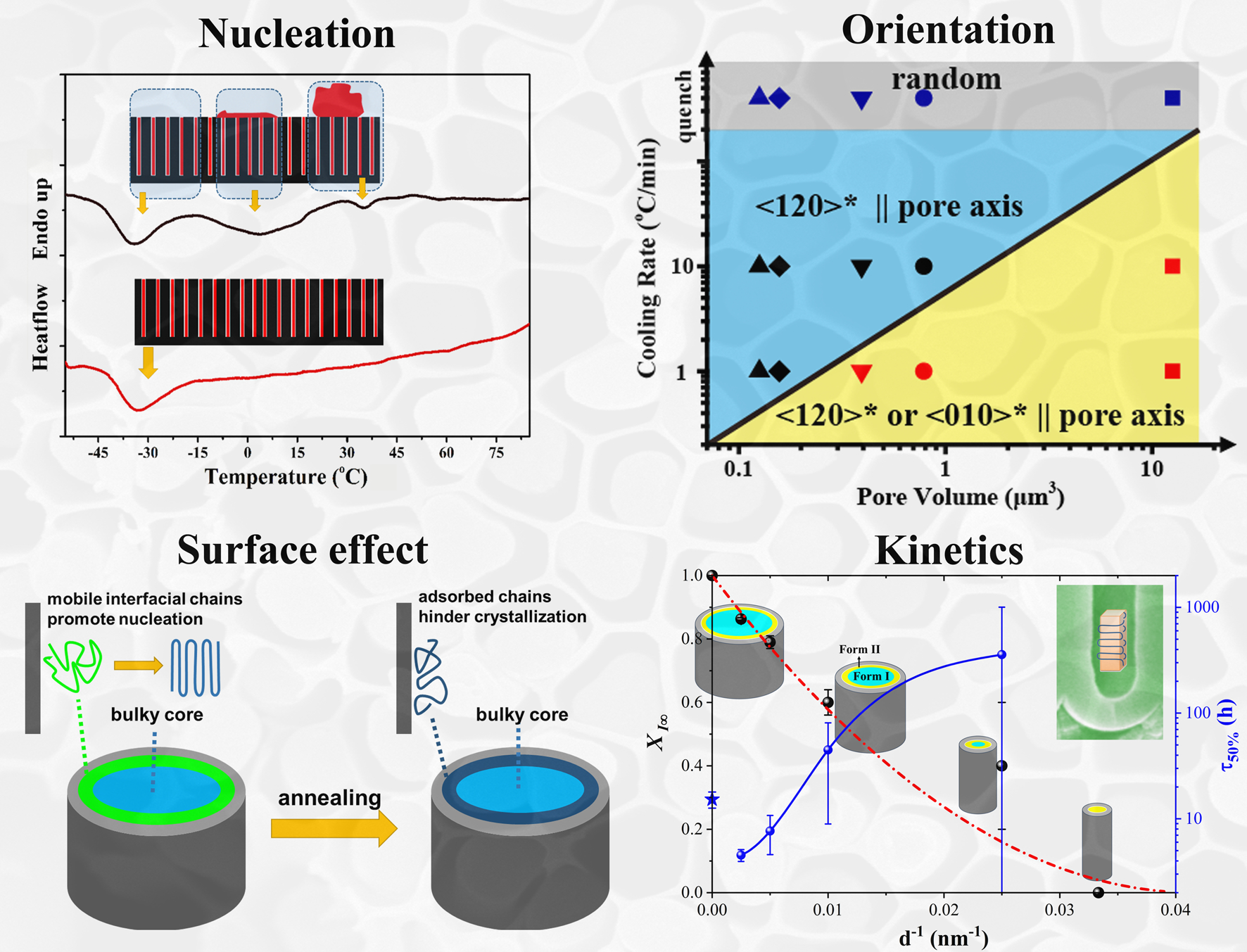 Confined crystallization of polymers within nanopores: Nucleation ...