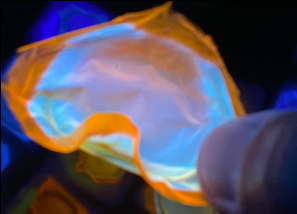 Fluorescent bio-based films from chitosan and fluorene based small ...