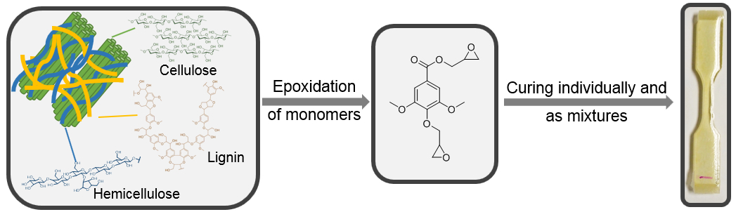 Sustainable epoxy resins derived from syringic acid and mixtures of ...