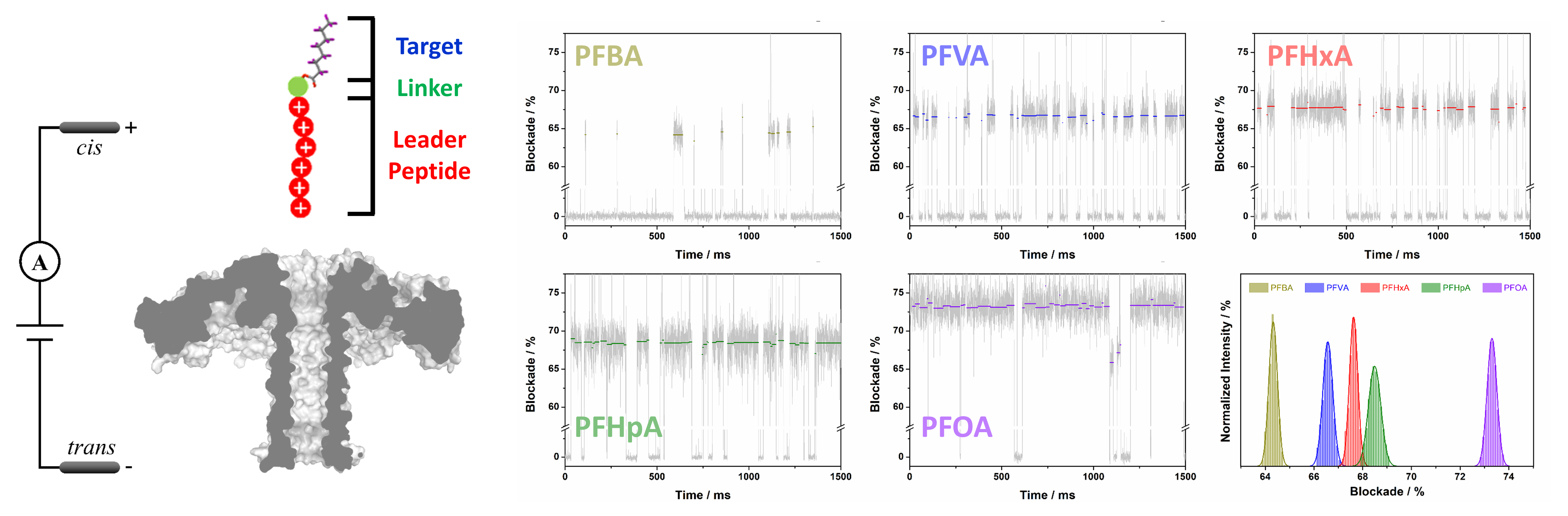 Single-molecule sensing of perfluorinated carboxylic acids - American ...