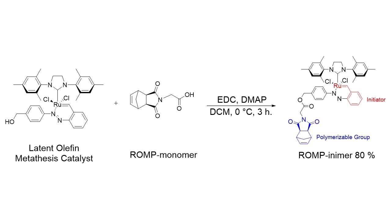 Self condensing ring opening metathesis polymerization: A novel ...