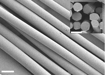 Polyethylene based fibers with tunable mechanical performance for mono ...