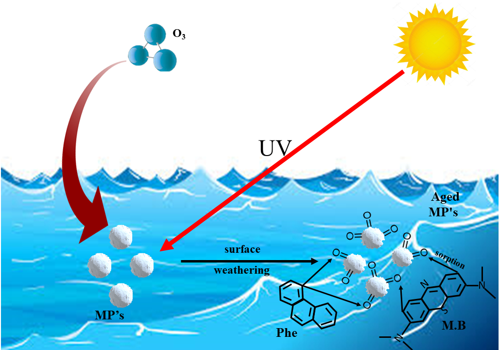 Aging of microplastics increases it's sorption affinity towards organic ...