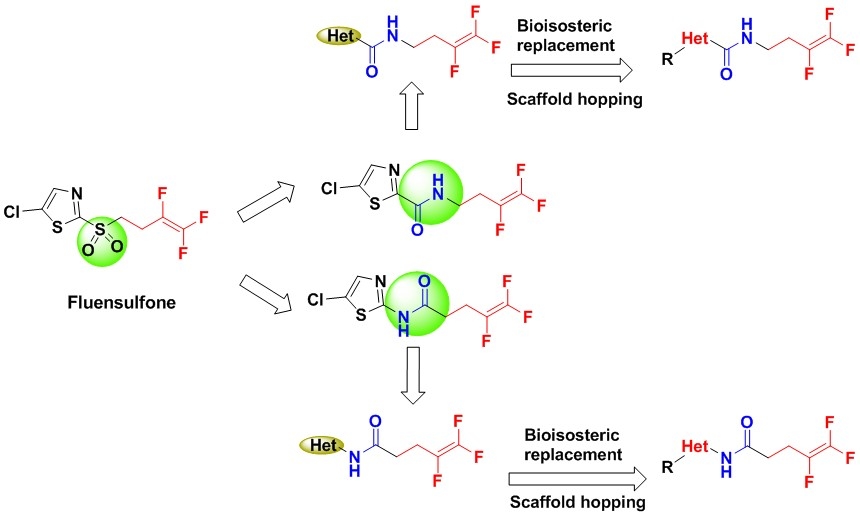Design, synthesis and structure derivation of fluensulfone - American ...