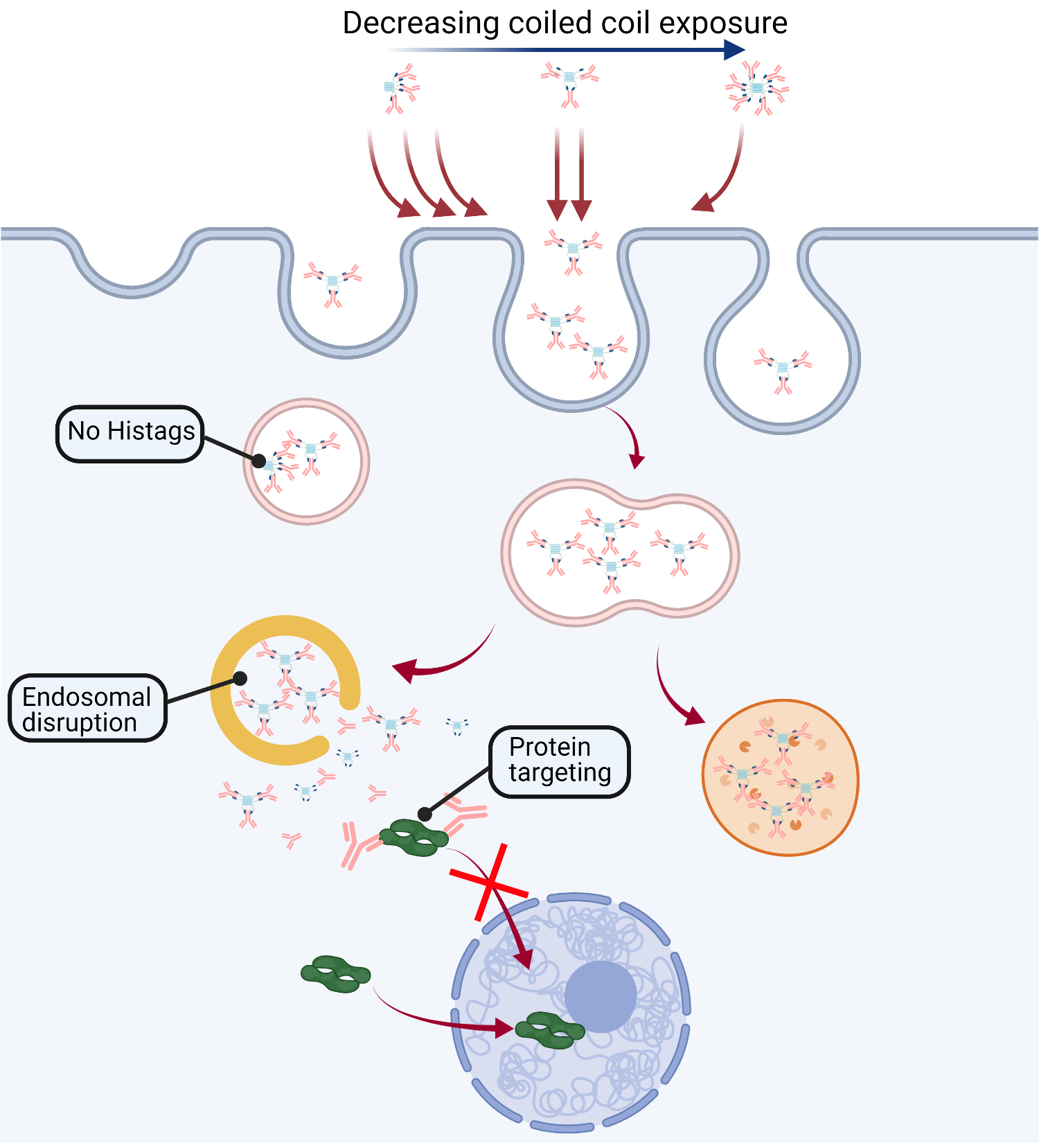 Design and characterization of a platform for efficient intracellular ...