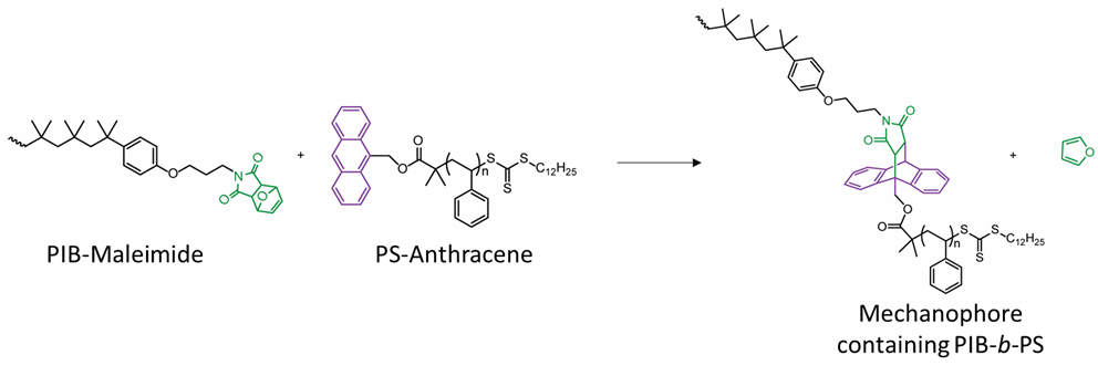 Polyisobutylene Structure