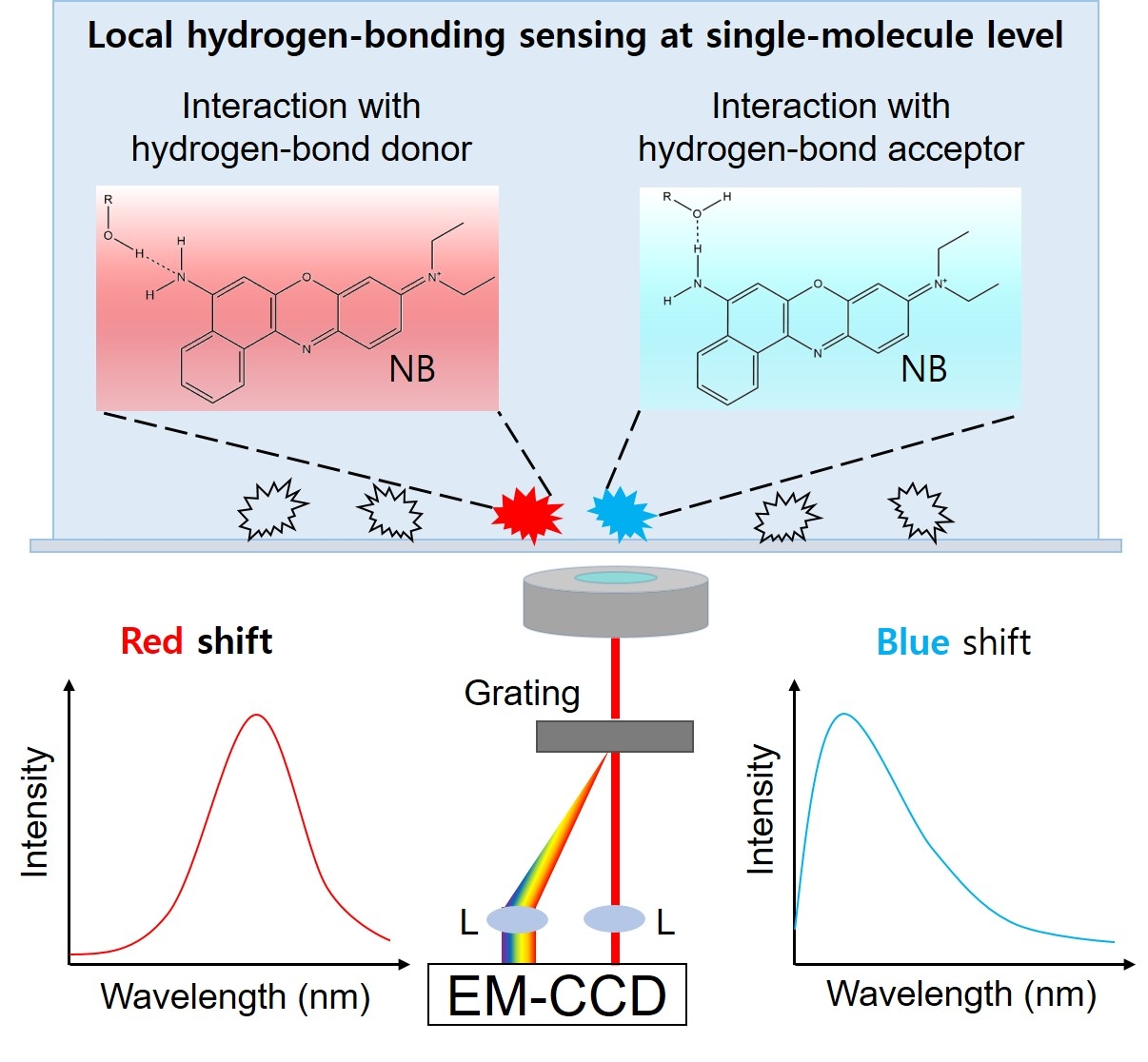 Development of nanoscale hydrogen-bonding sensing method using single ...