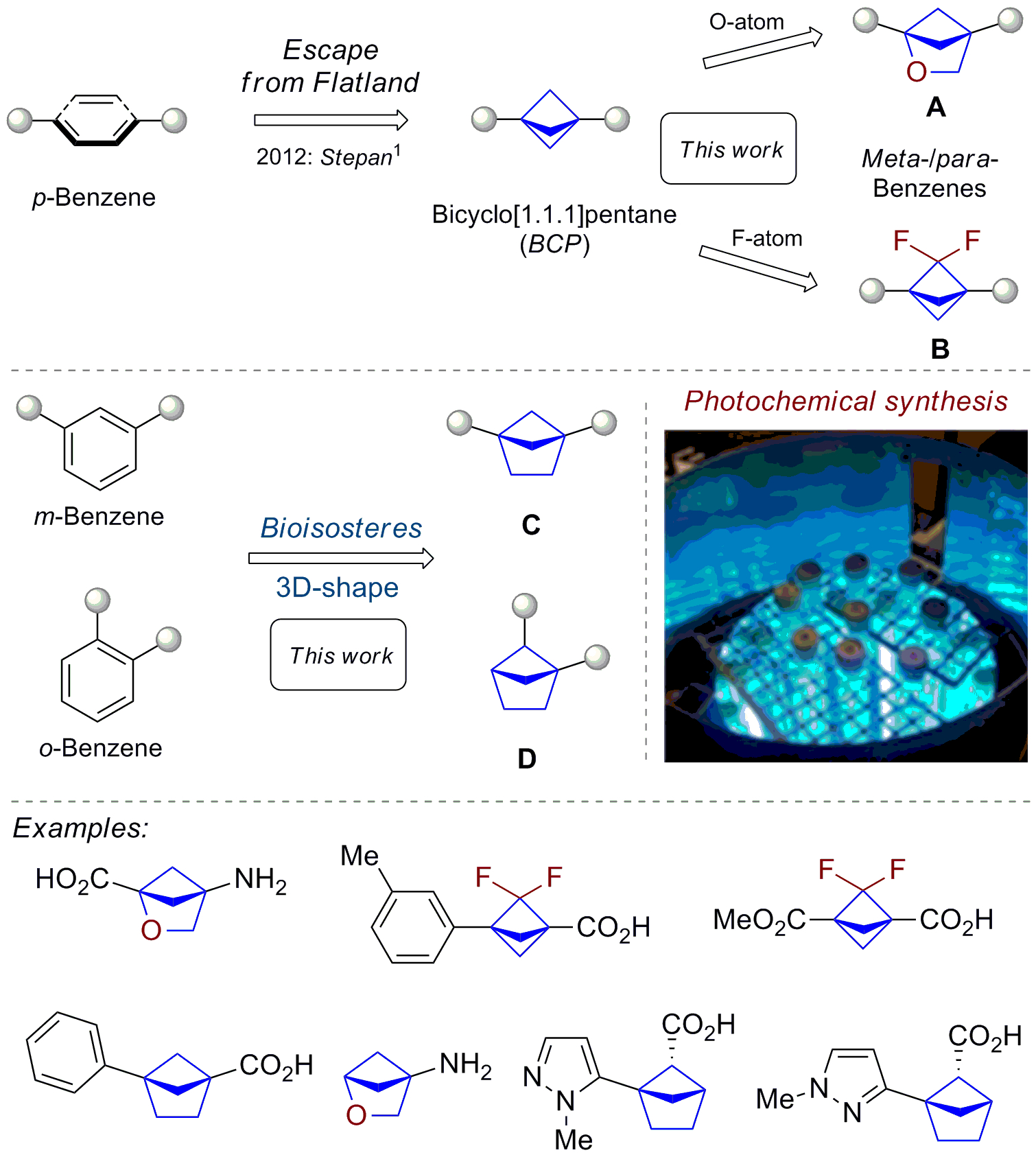 Saturated bioisosteres of benzene: Unique building blocks for drug ...