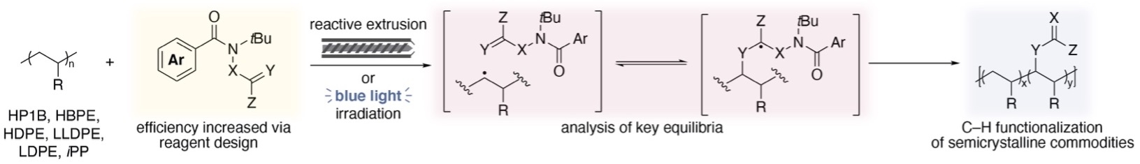 Amidyl radical-mediated polyolefin C–H functionalization - American ...