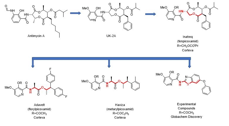 Picolinamide complex III inhibitors: A review of quinone inside ...