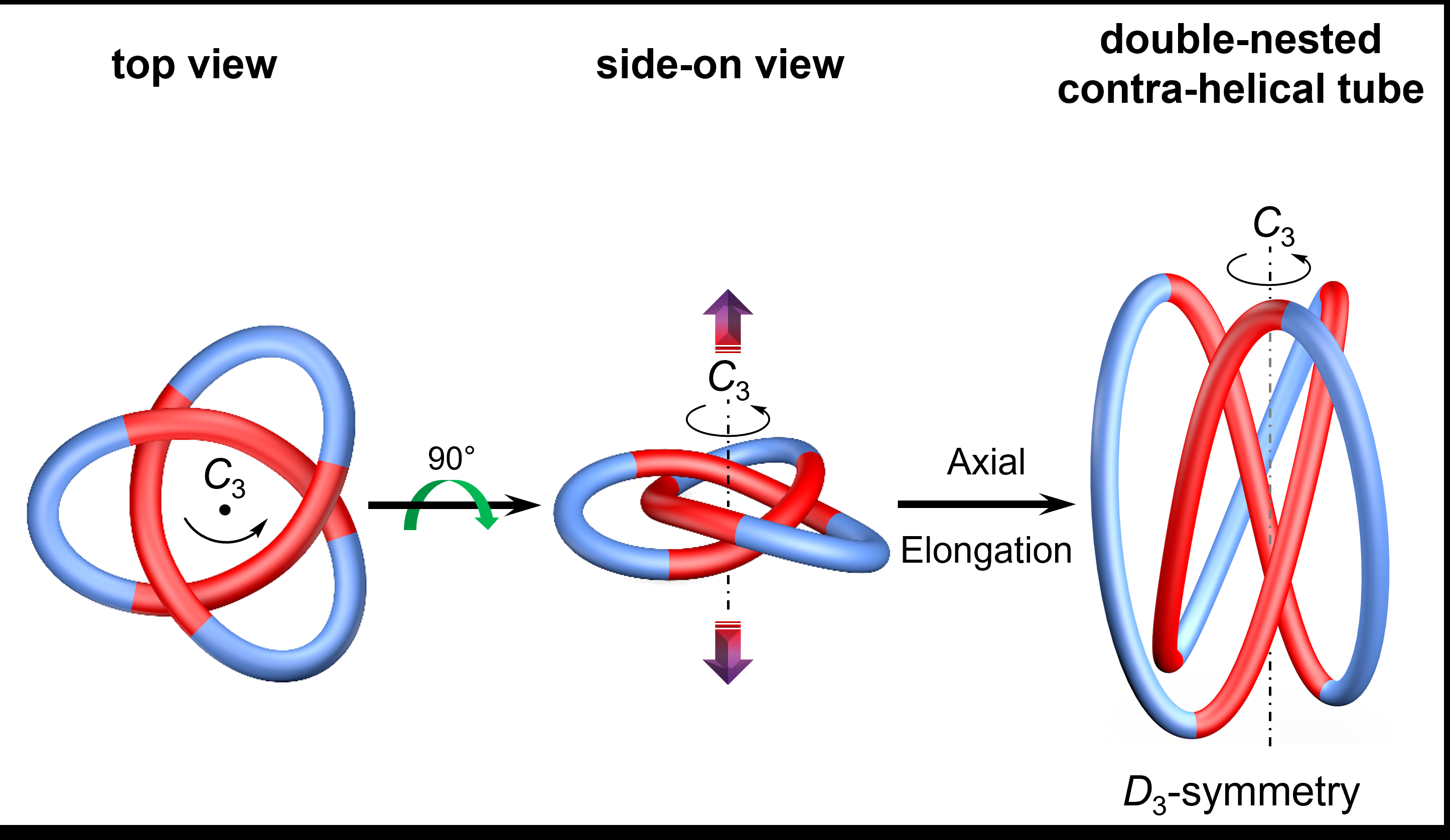Topologically chiral contra-helical trefoil knots exhibiting ...