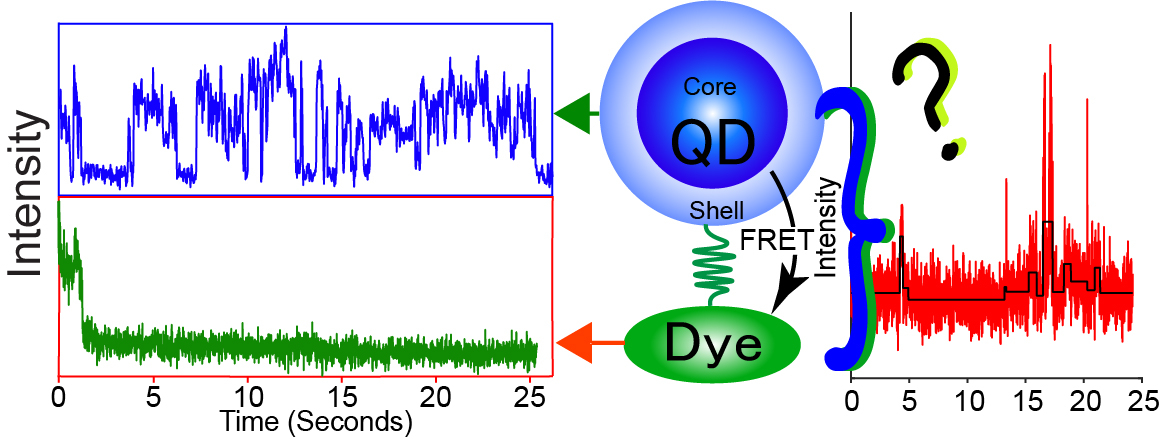 Blinking statistics of colloidal semiconductor quantum dot – organic ...