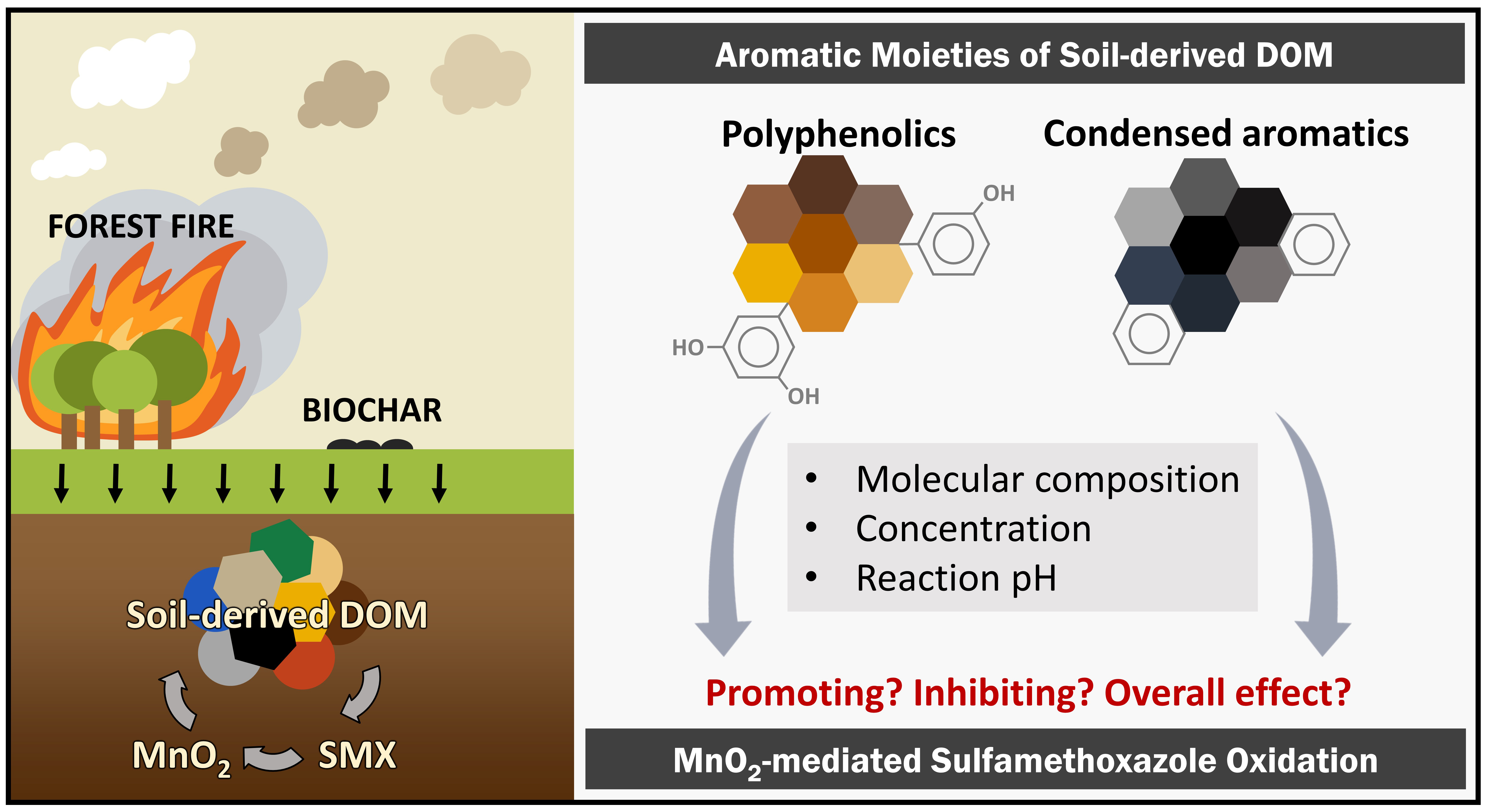 Organic Matter Composition