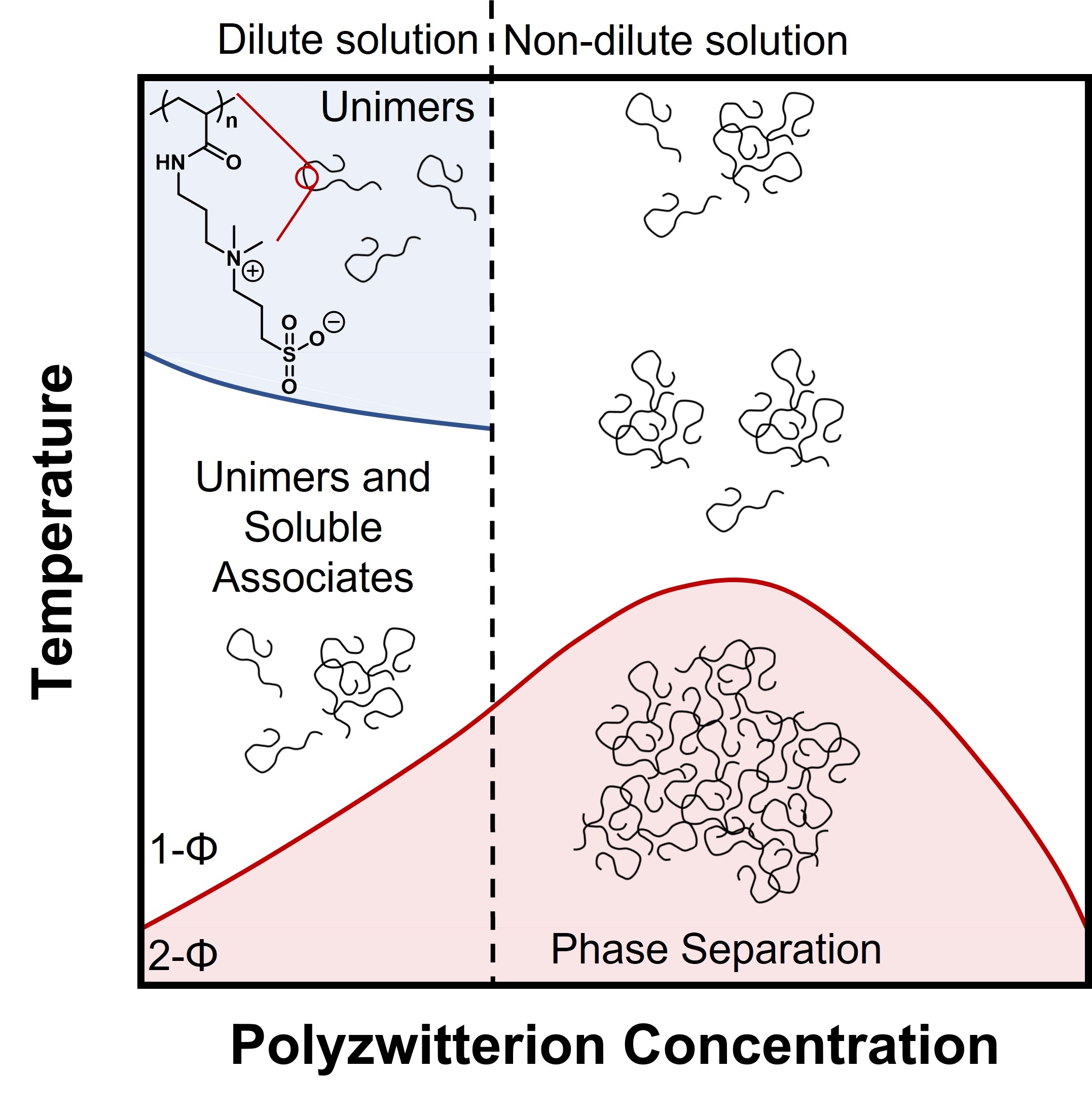Polyzwitterion solutions exhibit associative interactions coupled to ...
