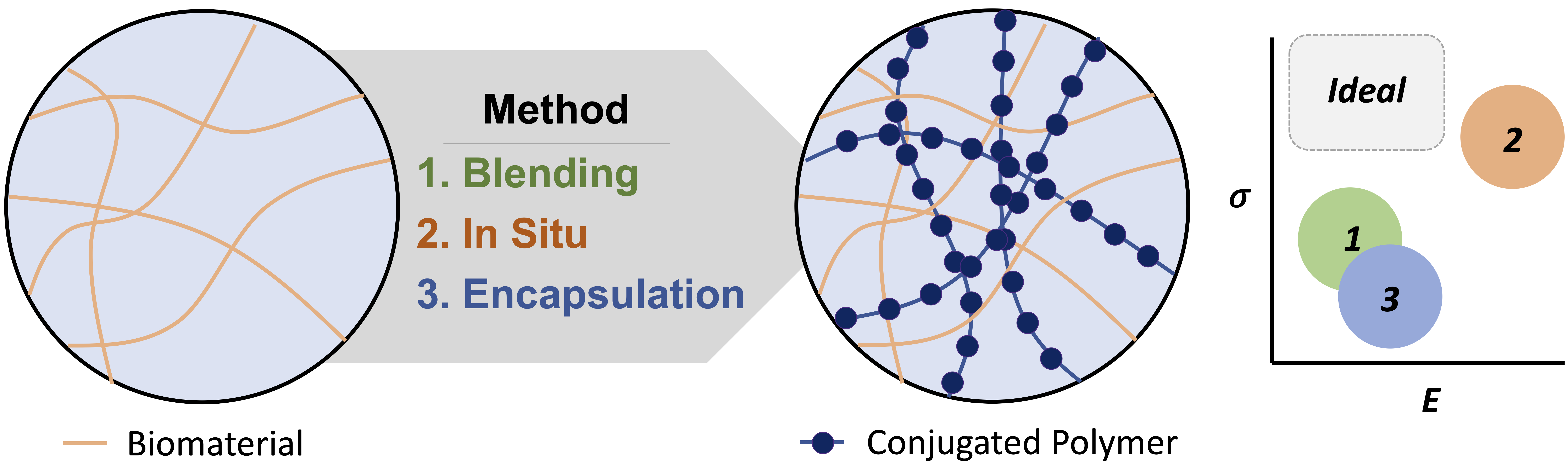 Method matters: Designing conductive hydrogels for bioelectronics - American Chemical Society