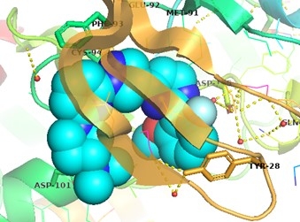 Discovery of pyrazoles and triazoles as potent and selective inhibitors ...
